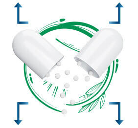 Gluconax - Natural Blood Sugar Support